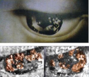 The Mistery of the Image of Our Lady of Guadalupe | Gabriela Vaz ...